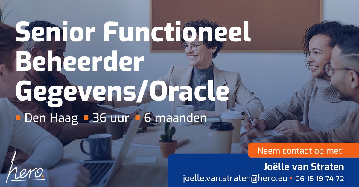 Senior Functioneel Beheerder Gegevens/Oracle - Hero Interim Professionals
